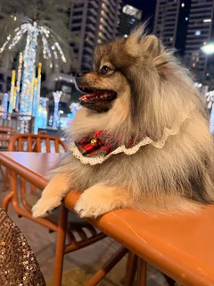 Kling AI: Next-Gen AI Video & AI Image Generator