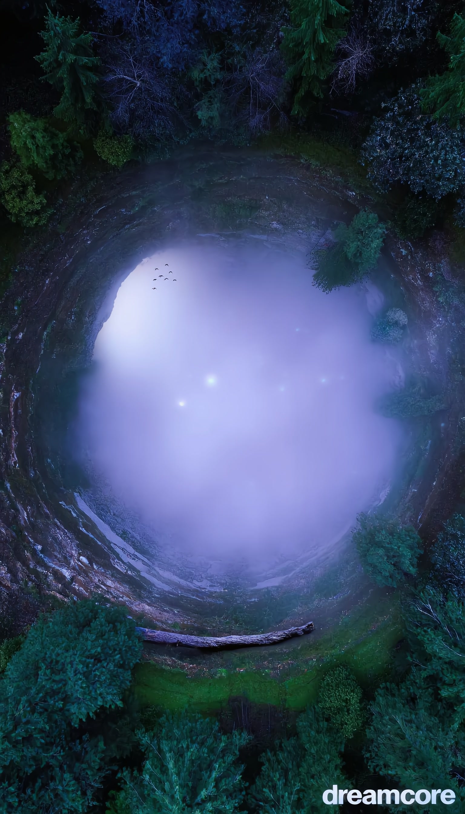 Mist Filled Forest Crater Spiraling Path Birds Rising From Fog | AI Image